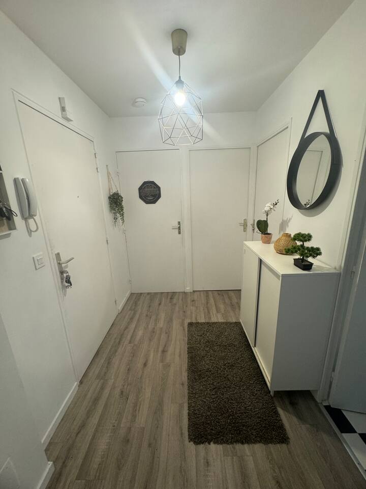 Appartement Entier à Louer - Lyon