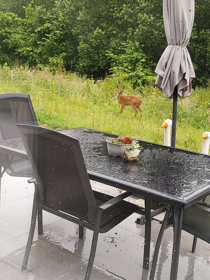Kort Verblijf Van Gasten. Ontbijt Op Aanvraag. - Beringen