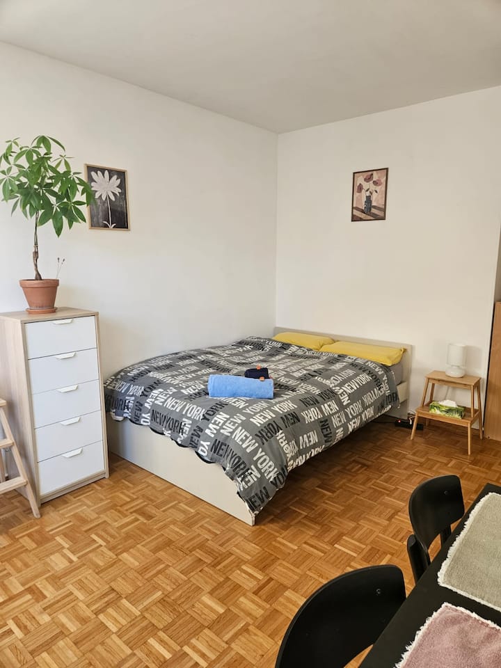 Studio In Front Of Train Station - Lausanne