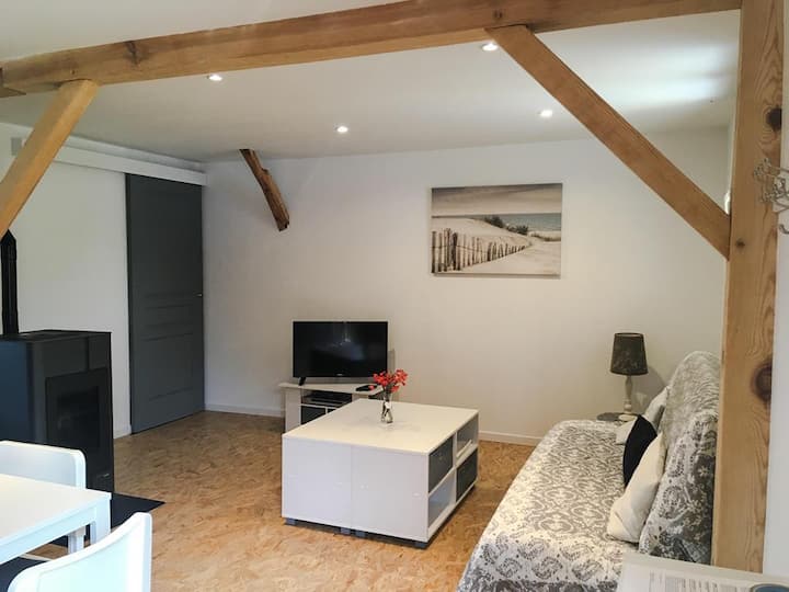 Gite Calme, 3 Chambres, Jardin 400m², 10mn Océan - Mimizan