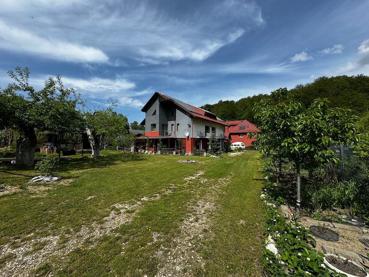 Retreat In The City - Brașov