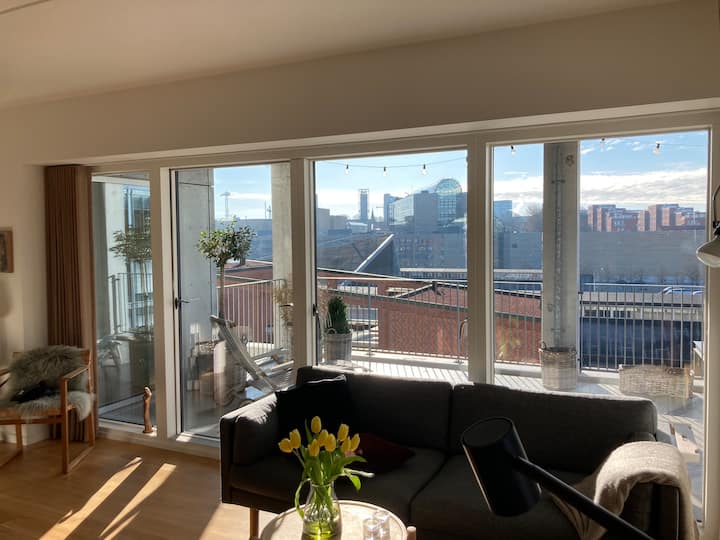 Rumlig Lejlighed I Aarhus C - Aarhus