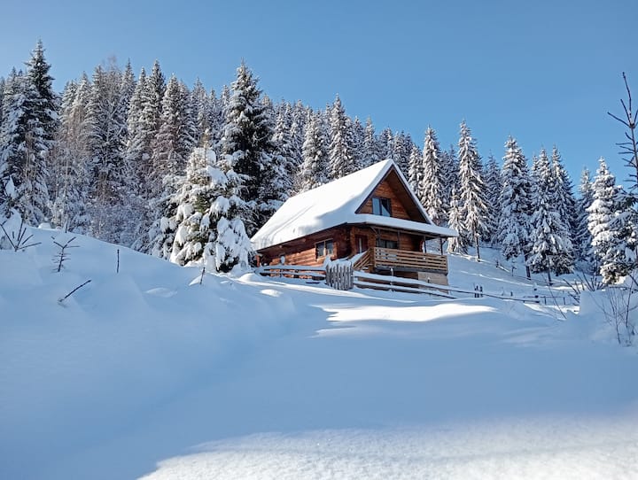 Cabana Norilor- Munți, Natura Pura șI Aer Curat. - Pojorâta