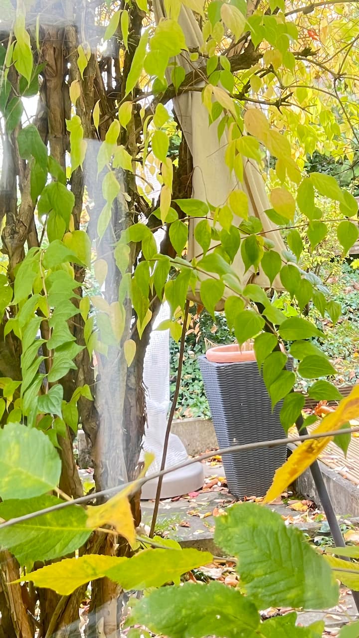 Mobilien Wohnung €3780, Pro Monat - Taunusstein