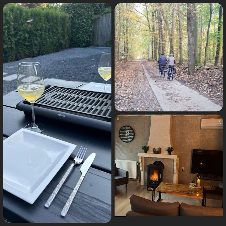 Omheind Dubbel Chalet Bij Bossen - Ermelo