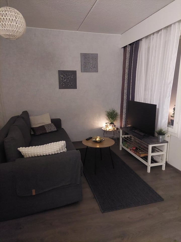 Viihtyisä Huoneisto Saunalla - Nokia