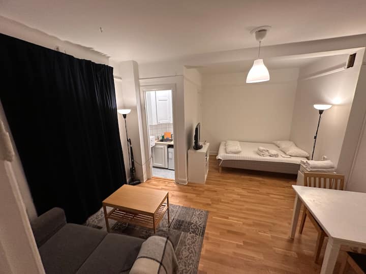 Mysig Studiolägenhet På Södermalm - 斯德哥爾摩