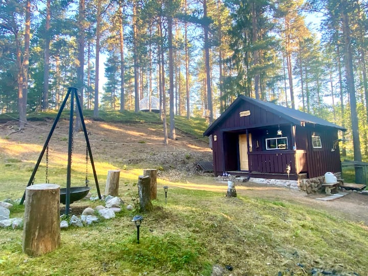 Log Cabin In The Wilderness - Sverige