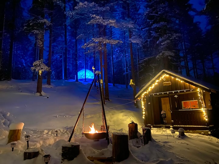 Log Cabin In The Wilderness - Sweden