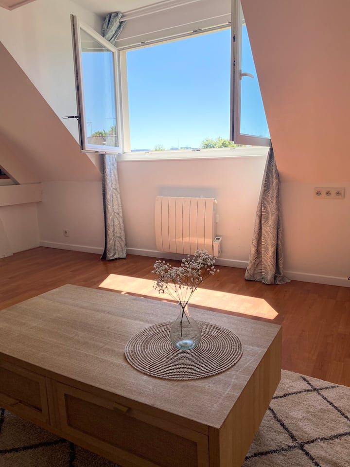 Appartement T2 Duplex - 洛里昂