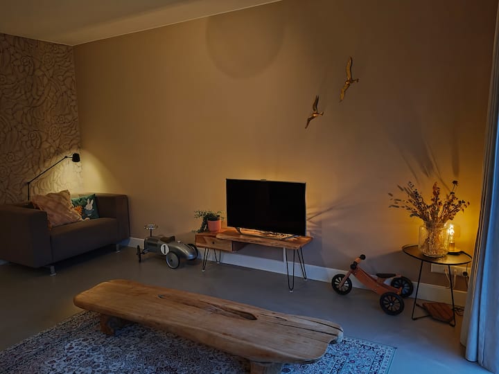 Sunny New Family House In Center Of Weespersluis. - Amsterdam