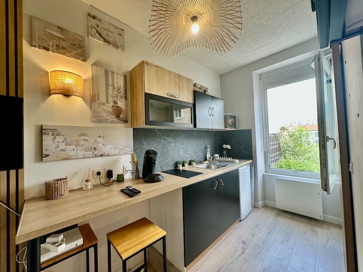 Cocon Calme à 2mn Clinique Mutualiste Et Tram - Grenoble