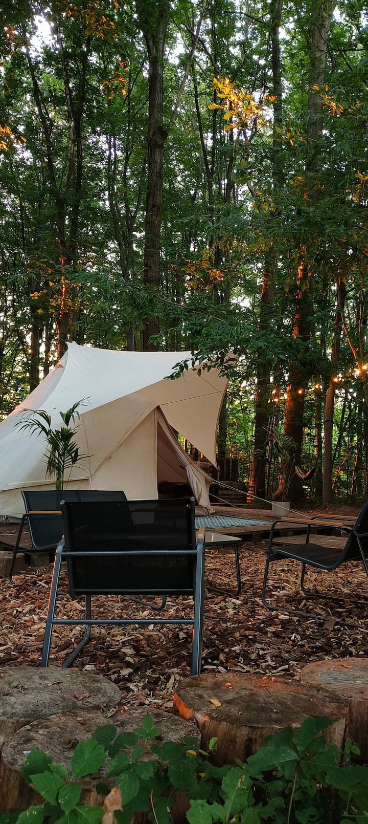 Hideaway Glamping Op Wijndomein Haksberg - Aarschot