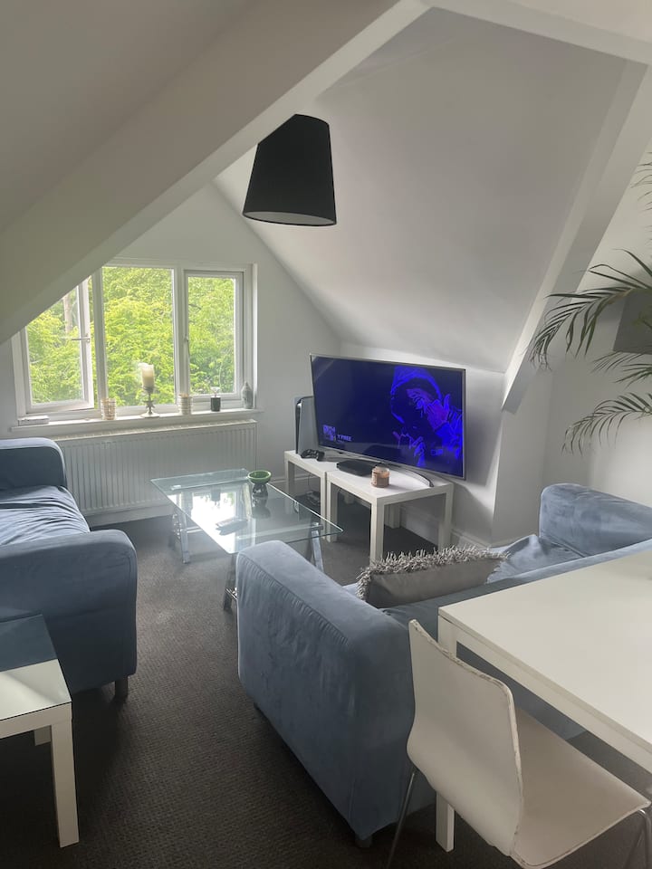 2 Bed / 2 Bath - Penthouse Looking Over The Park - Leeds