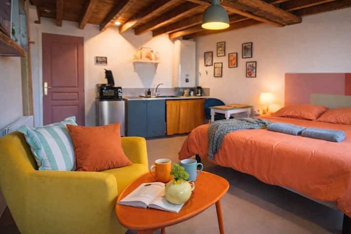 Studio Pop • 25m2 • Neuf Et Coloré• Wifi•netflix - Bellême