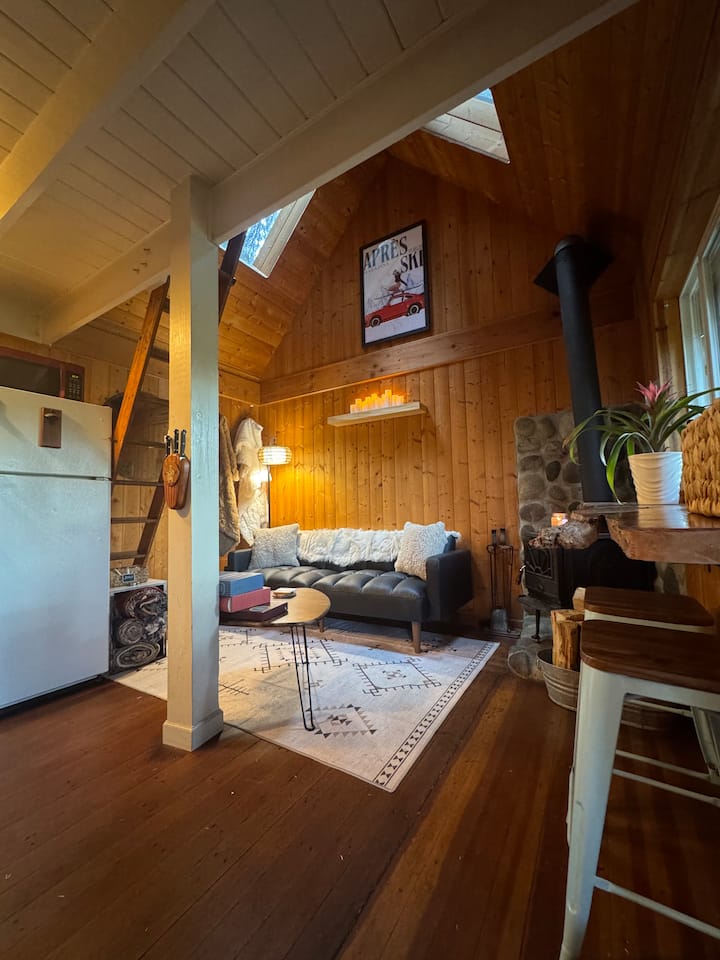 Tiny Riverfront Cabin! Hot Tub Sleeps 3, Fire Pit! - Index, WA