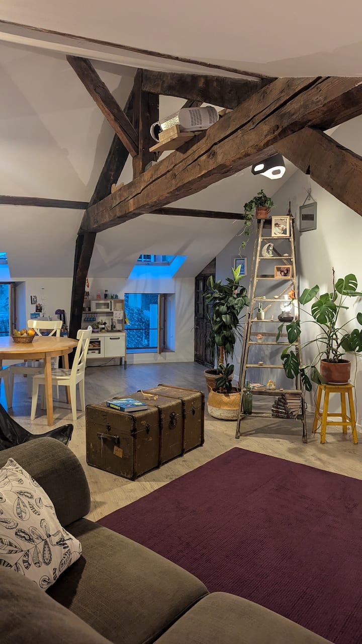 Bel Appartement Sous Les Toits - Châtel-Guyon