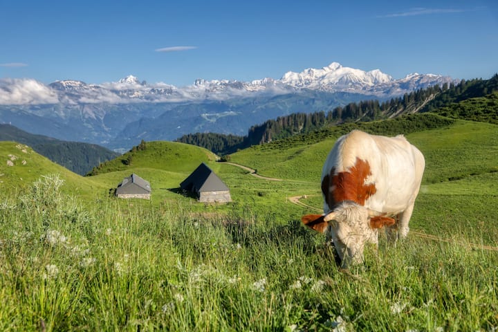 Studio Vue Mont-blanc Et Piscine Privée - Taninges