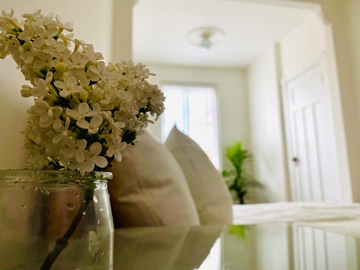 La Pépite - Lumineux Centenaire à 2 Pas Du Métro - Montreal