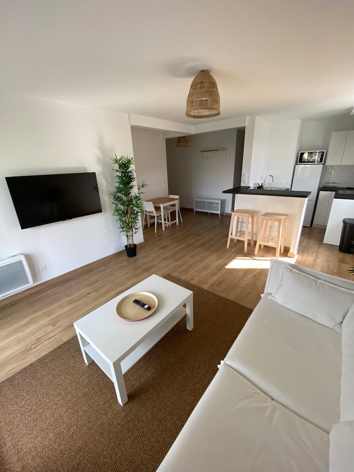 Appartement T3 « Standing » Quartier Les Minimes - Tuluza
