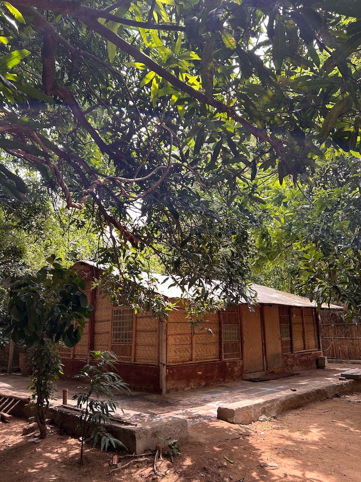 Bamboo Room 2 - Hampi