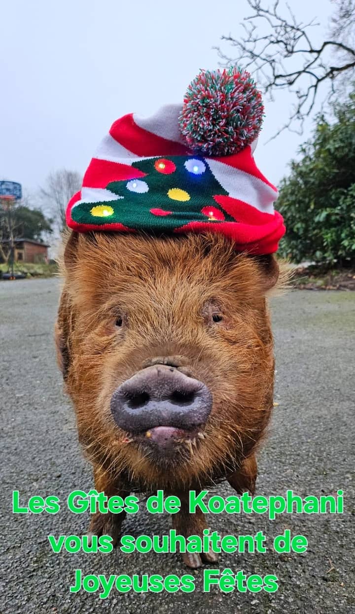 Les Gîtes De Koatephani Et Ses Animaux - Chateaulin