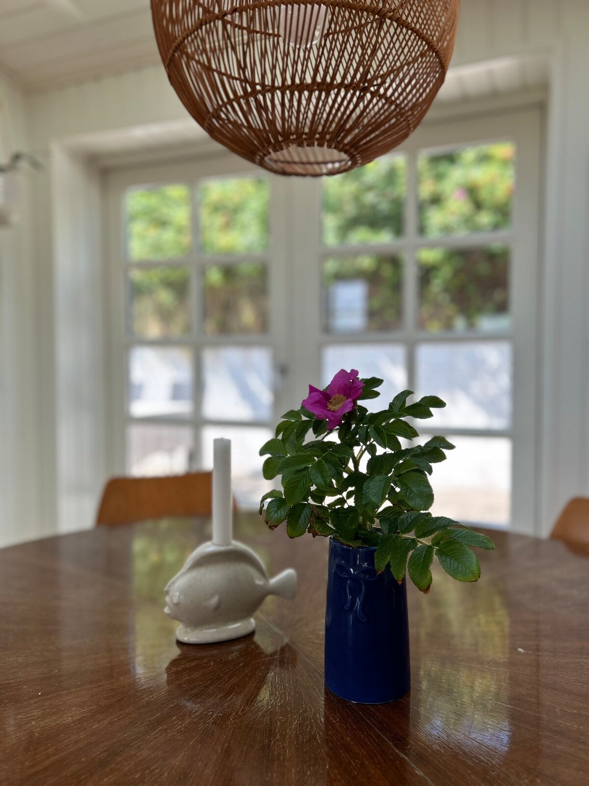 Newly renovated oasis in the first row to the North Sea - Houses for ...