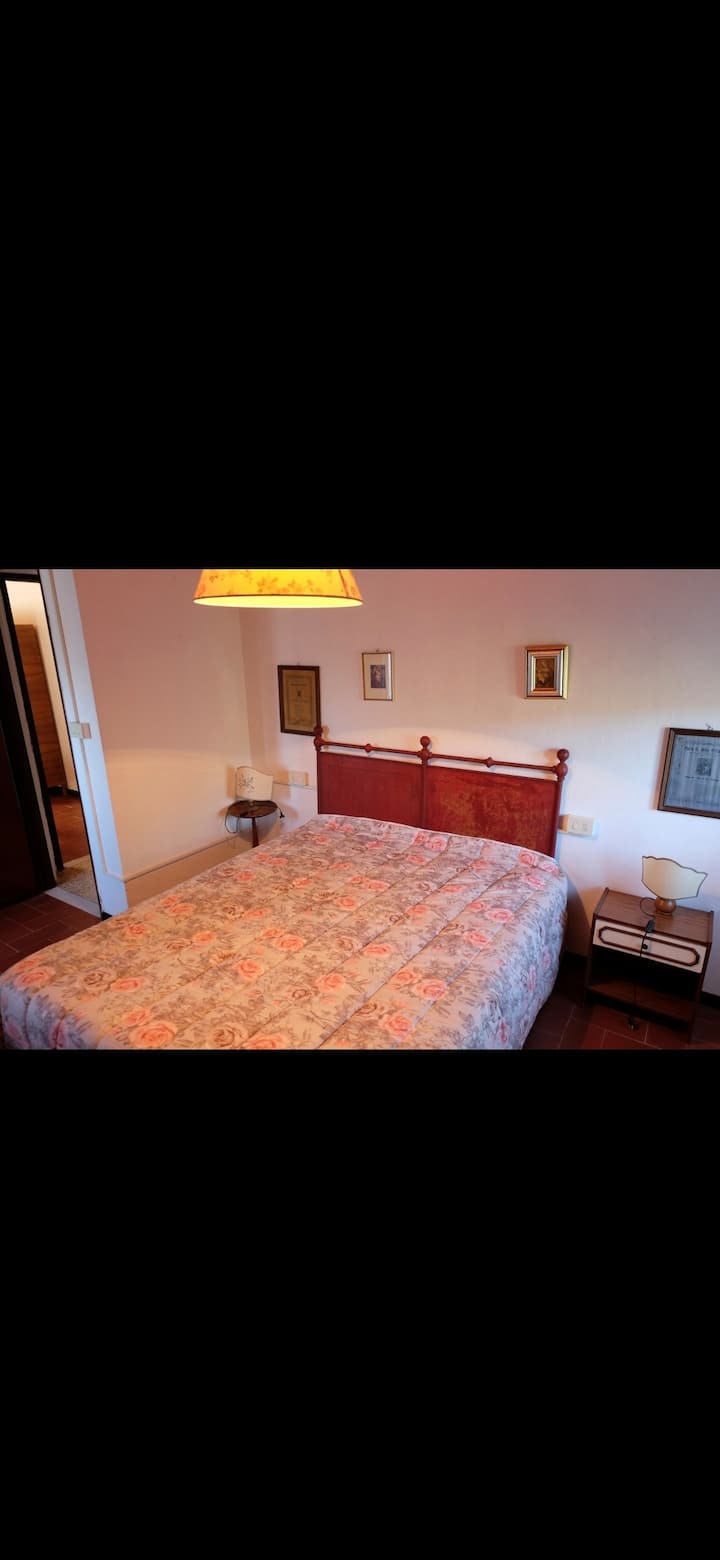 Casa Ninfa - Pisa
