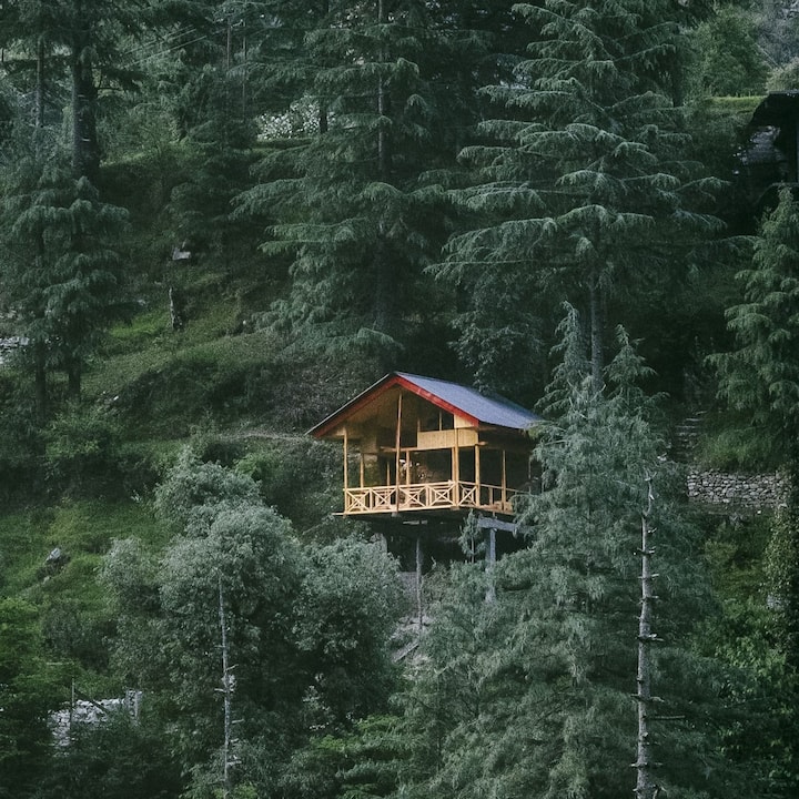 Hideaway Tree House Jibhi - Jibhi