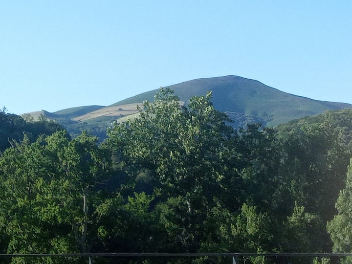 Aux Pieds Des Montagnes - Espelette