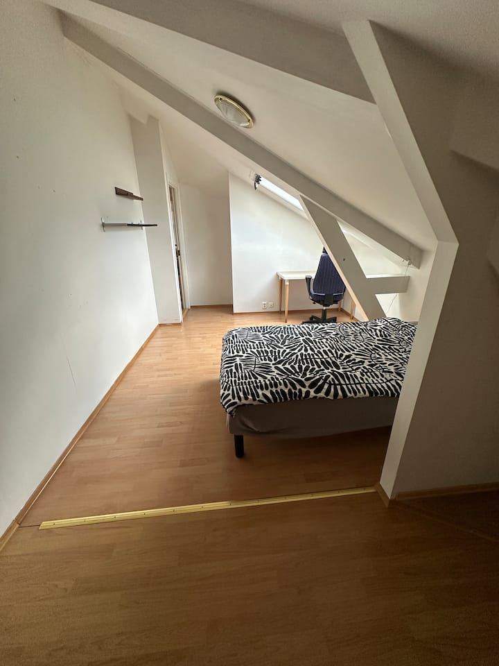 Alt Du Trenger Nær Sentrum – Ideelt For Turister - Oslo