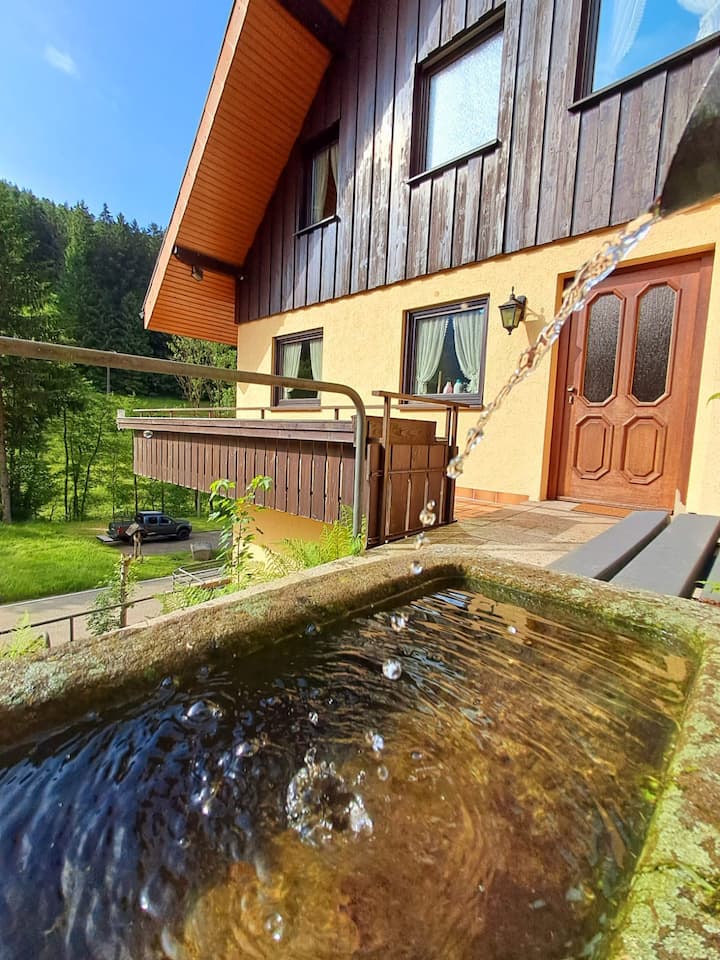 Ferienwohnung Am Teich Mit Schwarzwald Plus Karte - Lauterbad