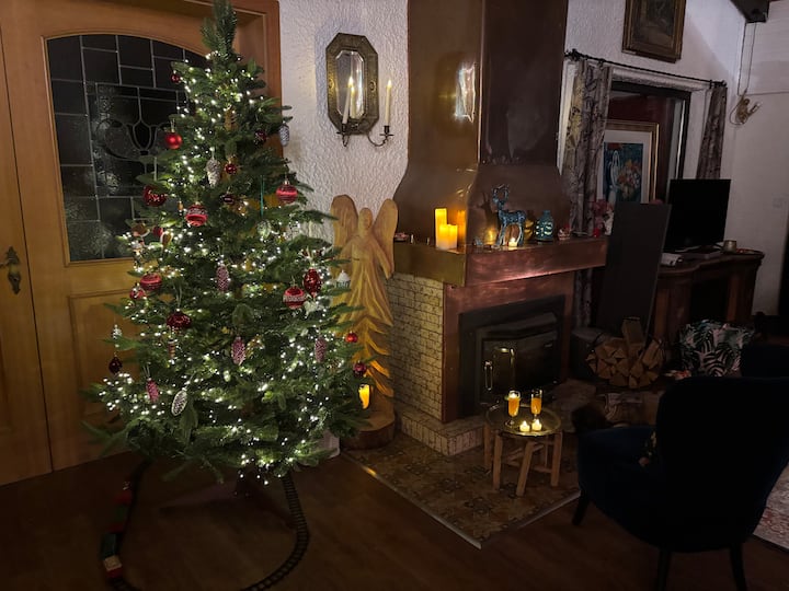 Haus Zur Seejungfrau - Ammersee