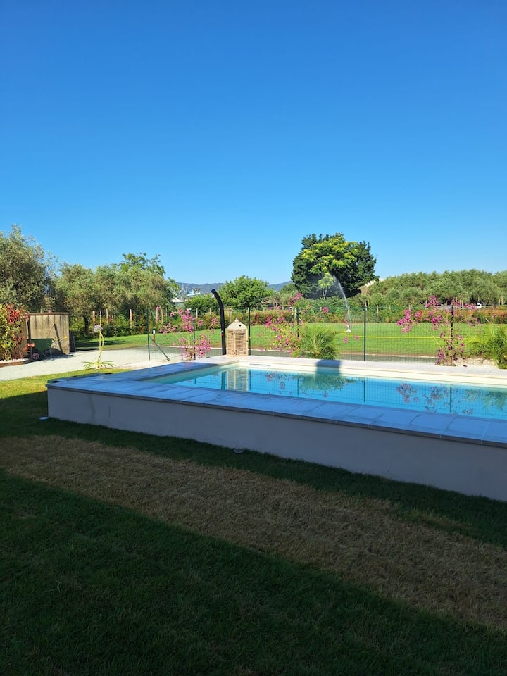 Dade House - Carrara