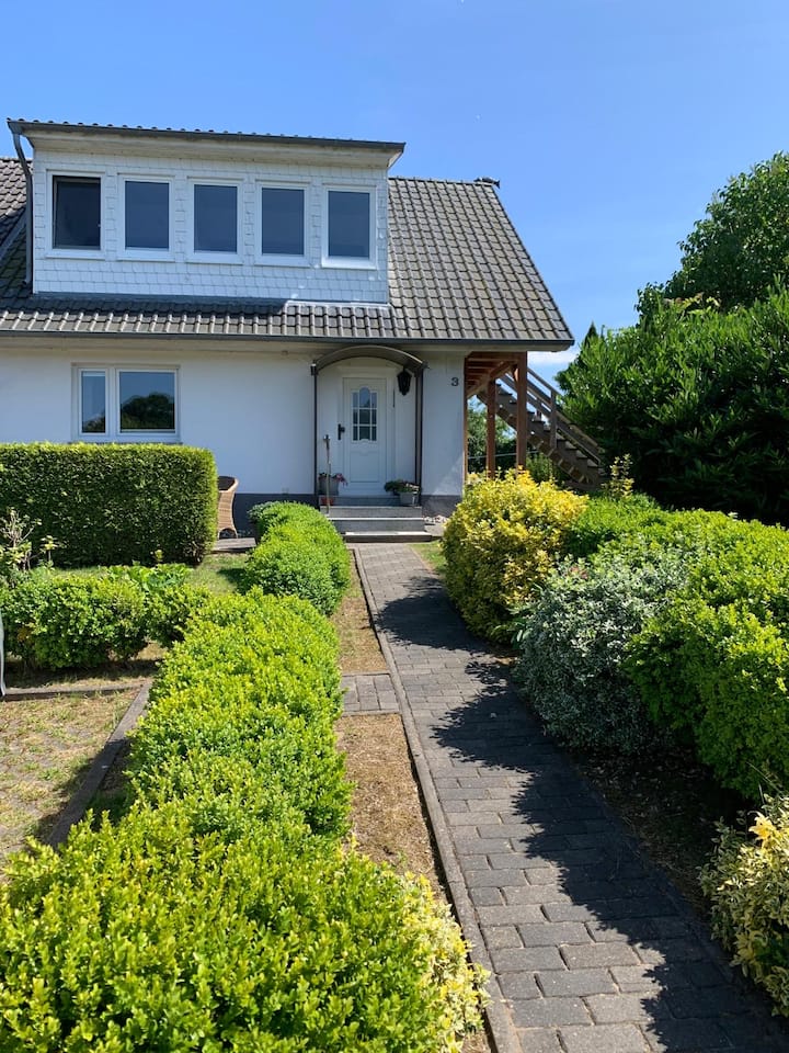 Fliederbusch - Stralsund