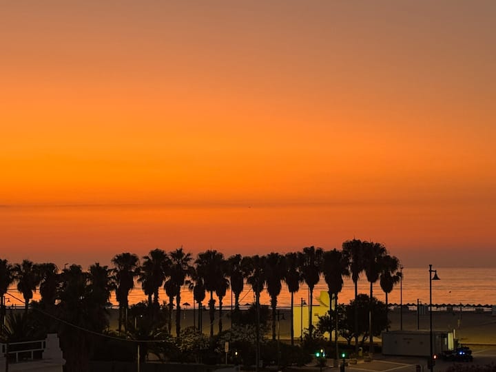Apartamento Nuevo Frente A Playa - Valencia
