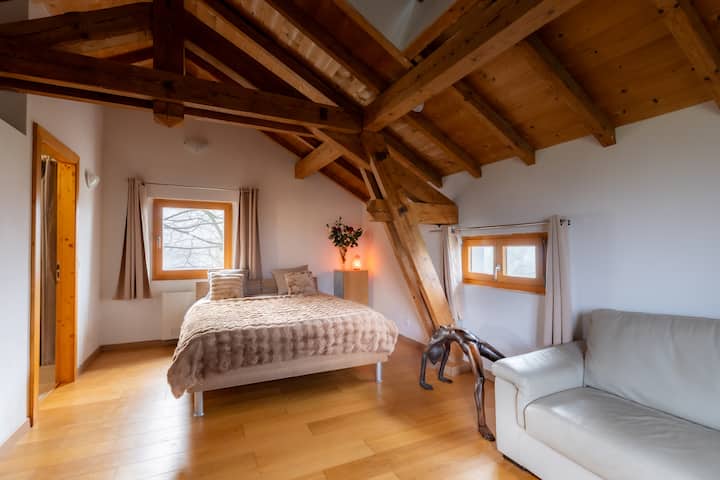 Maison Avec Jardin, 15 Minutes De Genève - Archamps