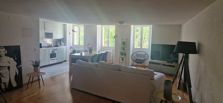 Appartement Avec Vue Sur Le Lac - Vevey