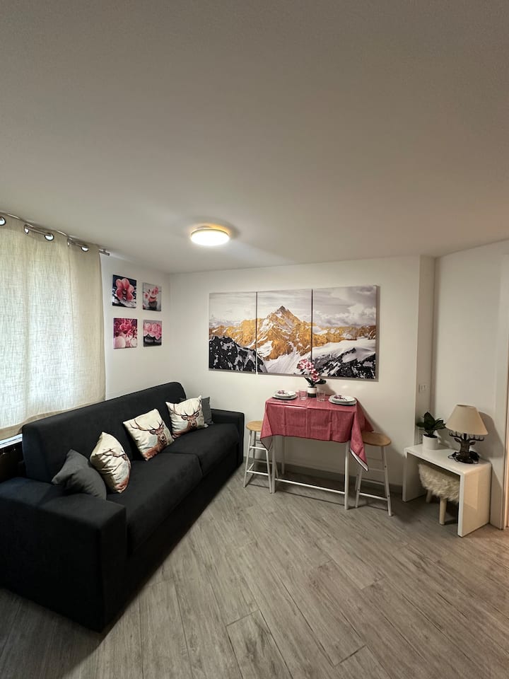 Orchidea Apartment - Monolocale Wi-fi - Zermatt