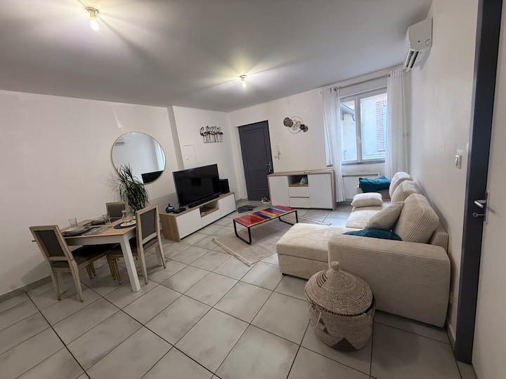 Appartement Pont Vieux - Montauban
