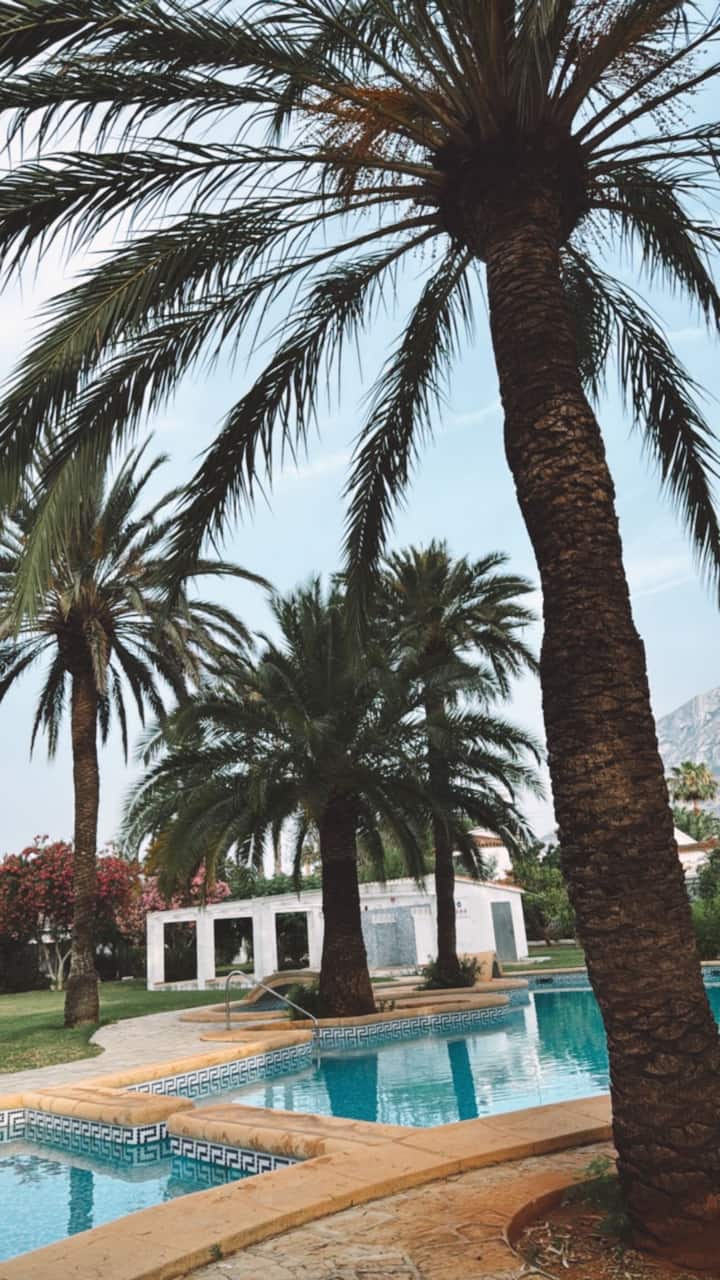 Apartamento En Denia. - Xàbia