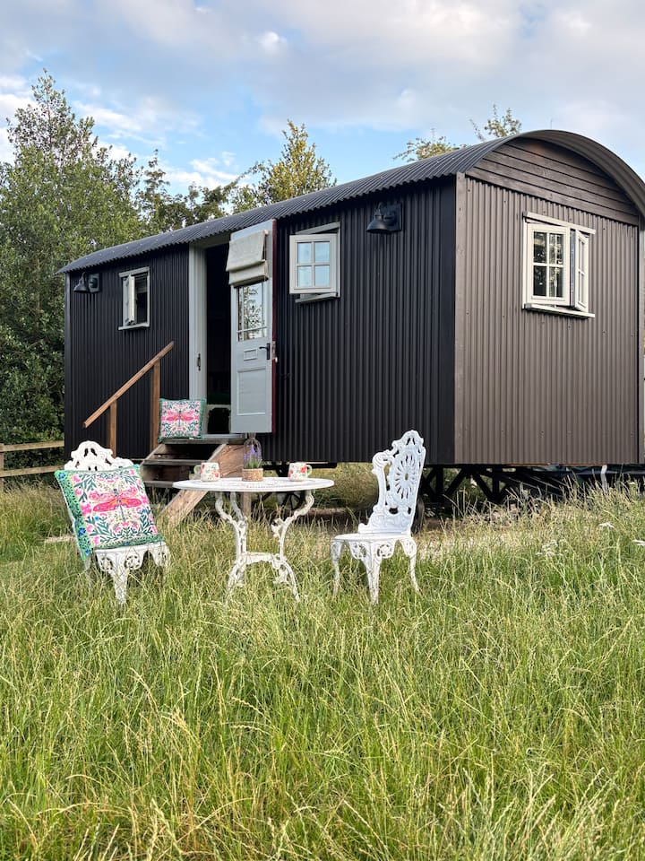 Piglet (Adult Only) - East Midlands Airport (EMA)