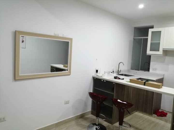 Departamento Frente Al Cc. Mega Plaza - Ica
