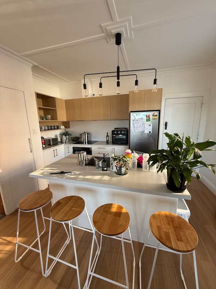 Dunedin Bungalow - Dunedin