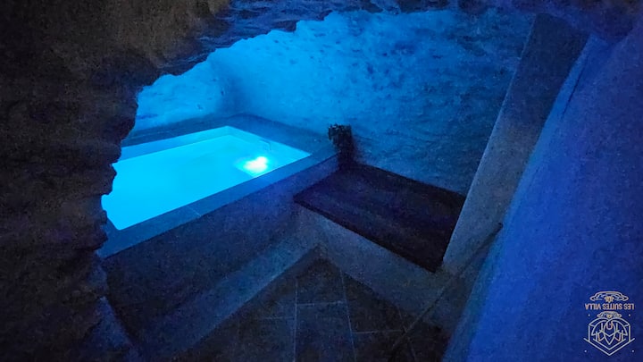 La Suite Saule - Dammartin-en-Goële