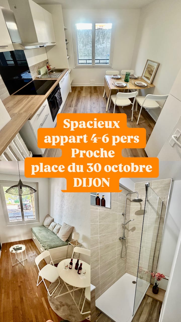 Charmant Appart Centre Dijon 4/6 Pers - Dijon