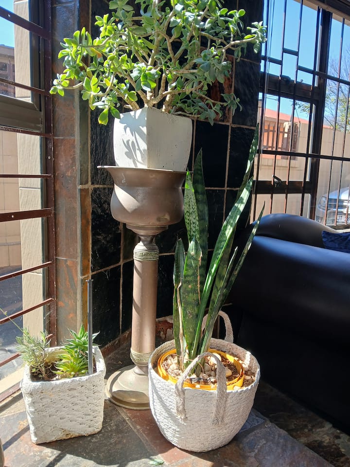 A Serene Home Away From Home - Johannesburg