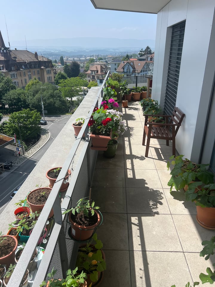 Bright Penthouse 180 Lake View - Lozanna
