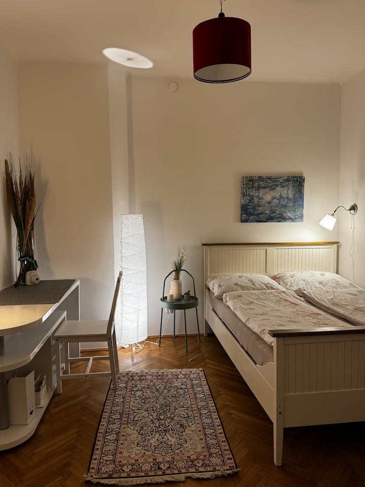 Comfortable Room Salzburg Center - Salzburg