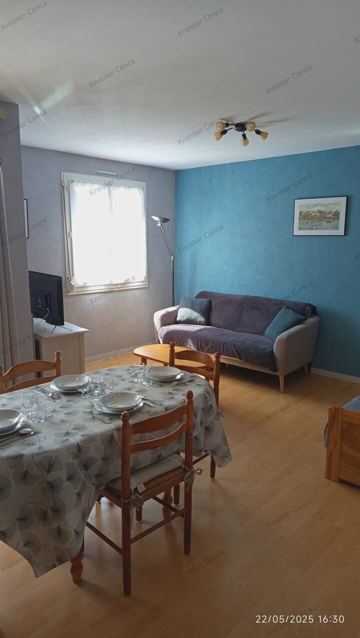 Appartement Le Kreisker Concarneau - Concarneau